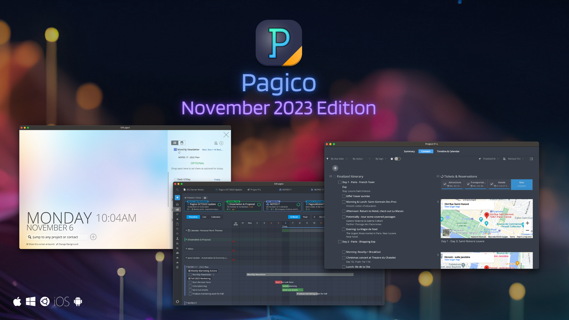Pagico November Edition: Multi-Window Support & Custom Starting View : Pagico Blog